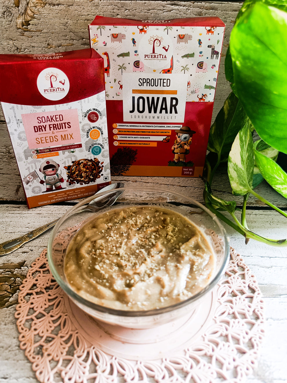 Combo of Sprouted Jowar Powder and Soaked Dry Fruit Powder – Pueritia Foods